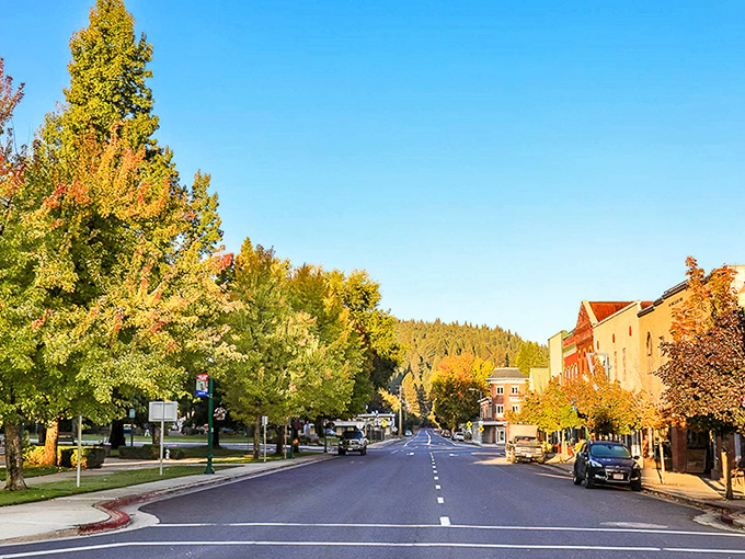 Quincy's Main Street in autumn glory &ndash; where fall foliage creates nature's perfect frame for small-town charm that Norman Rockwell would've rushed to paint.