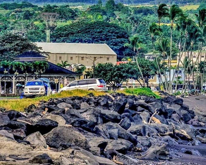 Where volcanic rock meets tropical foliage, Hilo's landscape tells Hawaii's origin story better than any textbook ever could.