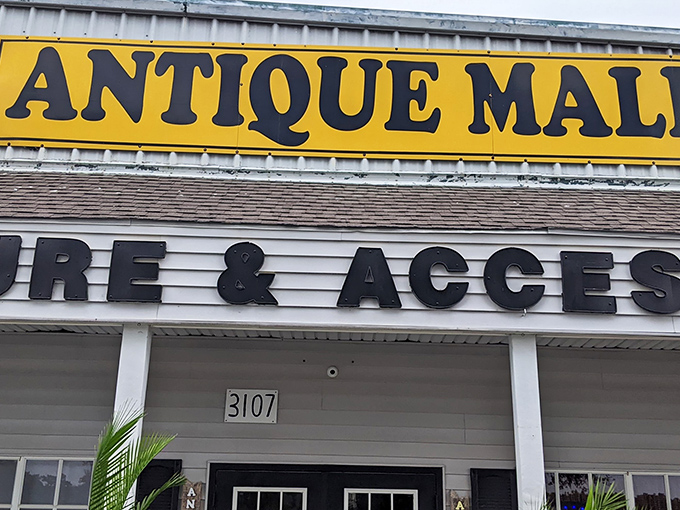 A mechanical time capsule where Hemingway's ghost might still be hunting and pecking. These vintage typewriters hold stories yet untold.