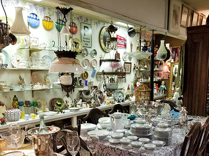 A treasure hunter's paradise where vintage china, delicate glassware, and antique lamps create a wonderland of nostalgia that would make Marie Kondo reconsider her life choices.