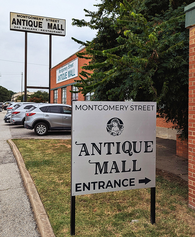 Another day, another treasure hunter's paradise where Montgomery Street's vendors display their wares like a museum that actually lets you touch everything.