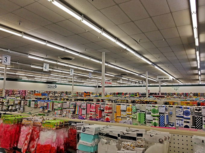 Aisle after aisle of bargain treasures await at Mighty Dollar, where your wallet feels like it's discovered a retail time machine.