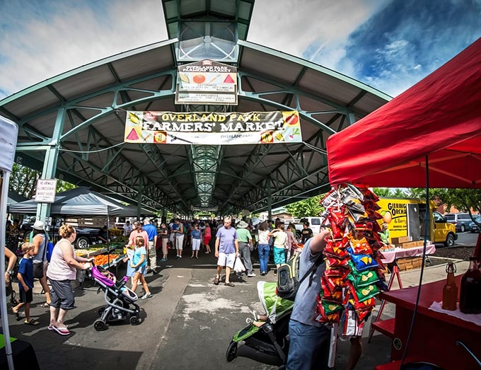 The covered pavilion at Overland Park Farmers' Market buzzes with weekend energy, a cathedral of fresh food where shopping carts replace pews and produce is the sermon.