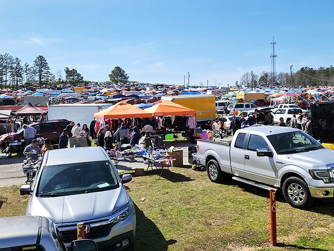 The parking lot transforms into a sea of possibility every Sunday morning, adventure awaiting in every row.