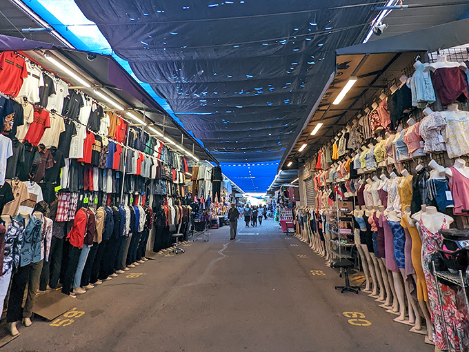 The clothing corridor stretches toward infinity, a fashion runway where mannequins stand at attention and bargain hunters strut their stuff.