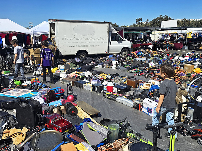 Treasure hunting at its finest! One person's random assortment becomes another's perfect find amid this sea of possibilities under the California sun.