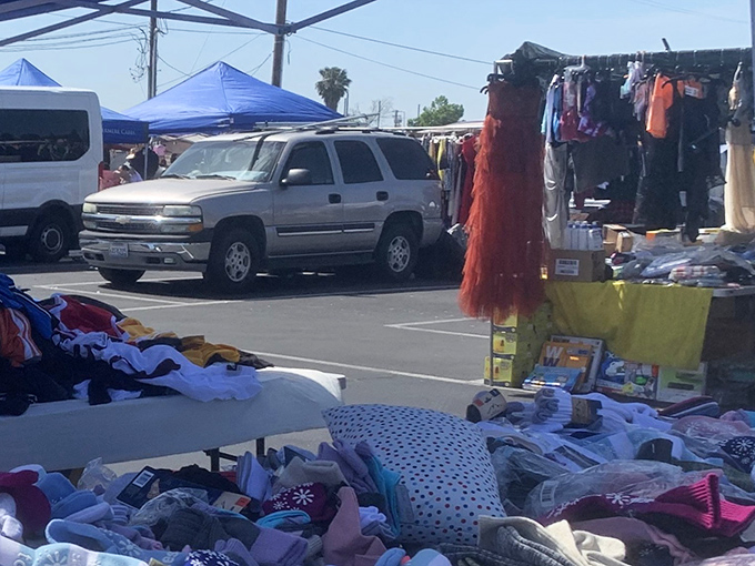 The San Gabriel Mountains provide a majestic backdrop to this treasure hunter's paradise, where one person's castoffs become another's prized possessions.