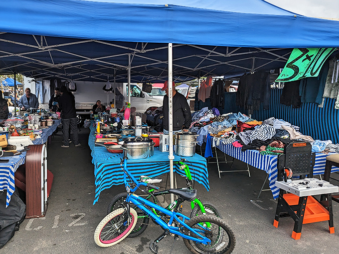 A blue-canopied wonderland where childhood bikes and household essentials coexist in a delightful jumble of possibility.