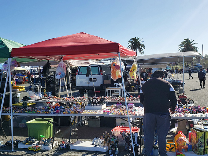 Welcome to bargain paradise! Under the California sun, vendors display their treasures while shoppers embark on the ultimate treasure hunt.
