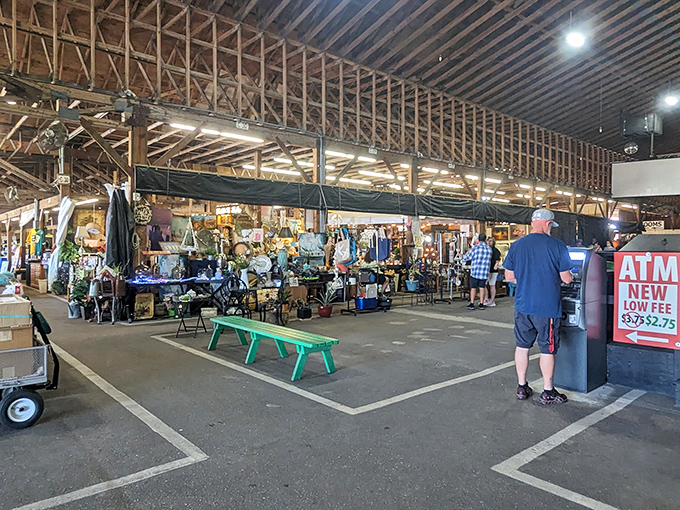 Inside these rustic wooden rafters, everyday commerce transforms into a thrilling expedition. The hunt begins where the parking lines end.
