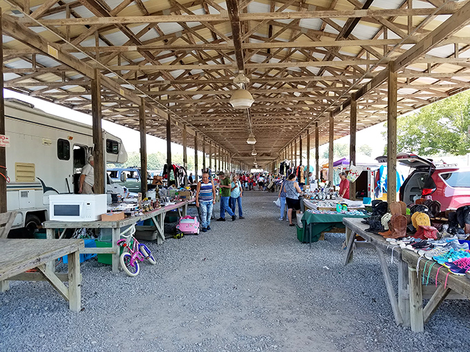 The covered walkways of Big D Flea Market stretch like treasure-filled tunnels, where one person's castoffs become another's must-haves.