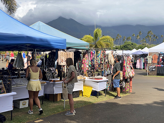 Rows of colorful tents stretch toward the horizon, where the West Maui Mountains stand guard over this treasure hunter's paradise.
