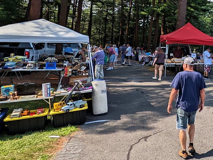 Beneath towering pines, vendors create a marketplace of memories. Each table offers a glimpse into America's material past, waiting to be rediscovered.