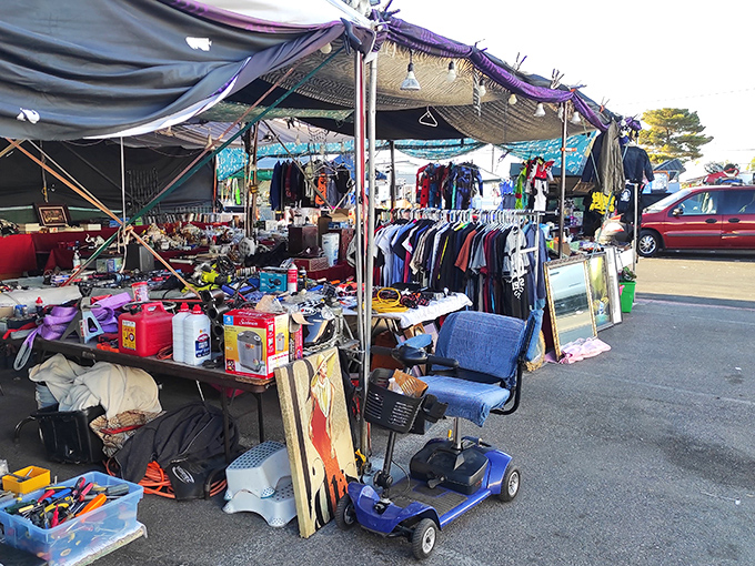 Those endless aisles stretch farther than your weekend to-do list, packed with treasures waiting to be discovered.