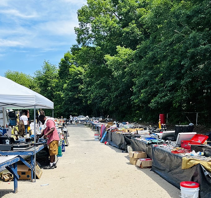 The fashion frontier awaits! Bargain hunters browse racks of clothing treasures, proving that the thrill of the find never goes out of style.
