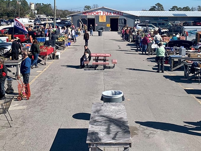 The outdoor marketplace at Newport Flea Mall buzzes with weekend treasure hunters scanning tables for that perfect find nobody else spotted yet.