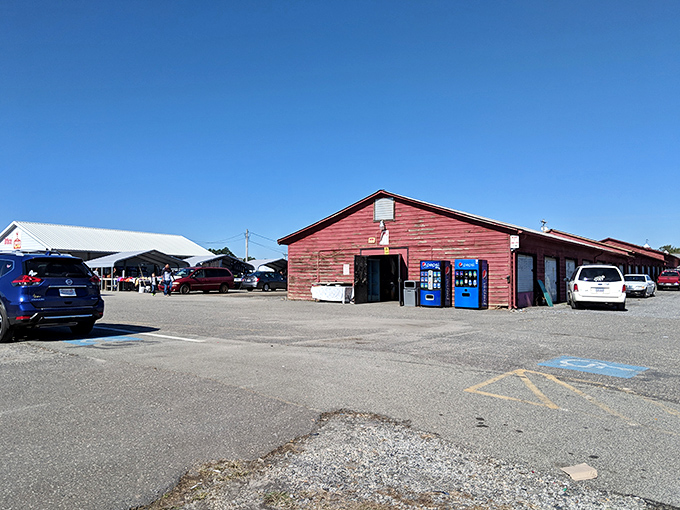The weathered red barns of The Barnyard Flea Markets stand like treasure chests waiting to be unlocked, promising adventures in bargain hunting under Carolina blue skies.