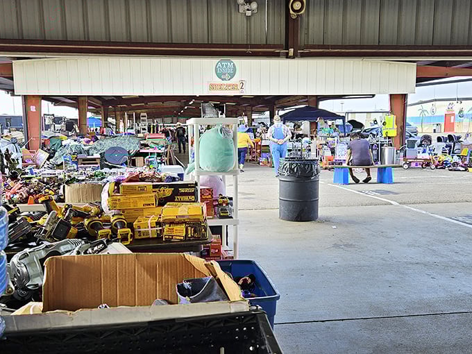 The outdoor section at Treasure Aisles is where treasure hunting gets serious. Power tools and household gadgets await their next chapter in someone else's garage.
