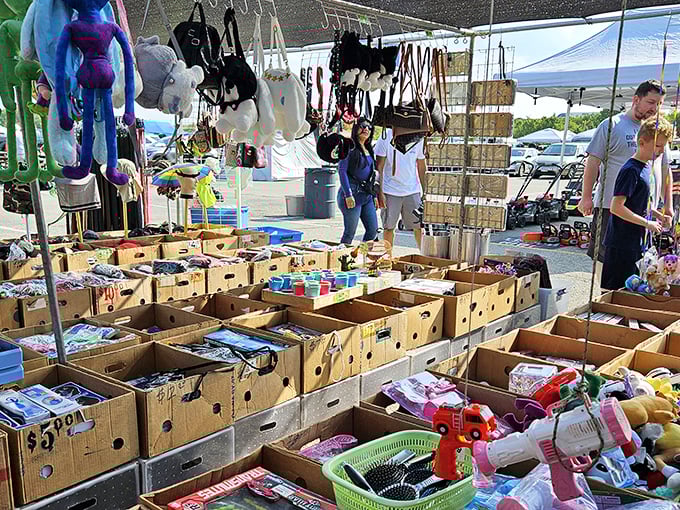 Treasure hunting at its finest! Cardboard boxes brimming with potential treasures while colorful stuffed animals dangle overhead like carnival prizes waiting to be claimed.