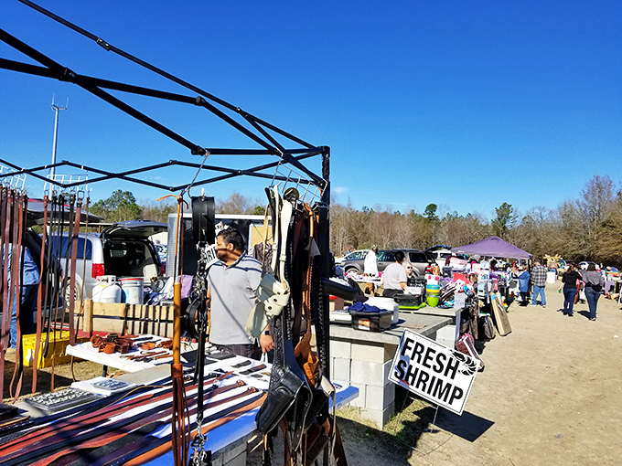Sunlight bathes this open-air market where treasures, trinkets, and fresh shrimp await under South Carolina&rsquo;s wide, generous sky.
