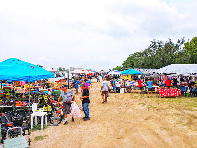 Where patriotic umbrellas meet treasure hunting dreams, and every folding table holds potential magic.