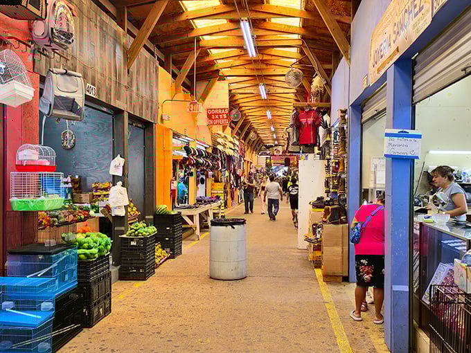 The endless corridor of possibility! Sunny Flea Market's covered walkways offer a treasure hunt where fresh produce meets fashion finds.