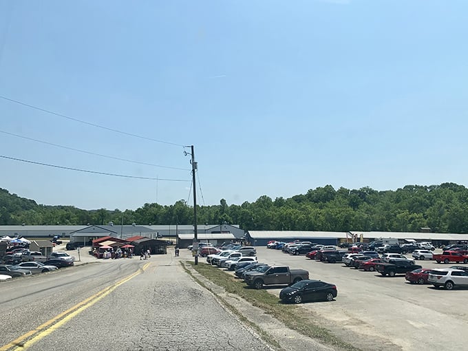 A bustling parking lot that promises adventure &ndash; where cars from counties near and far gather like pilgrims at a shrine to secondhand treasures.