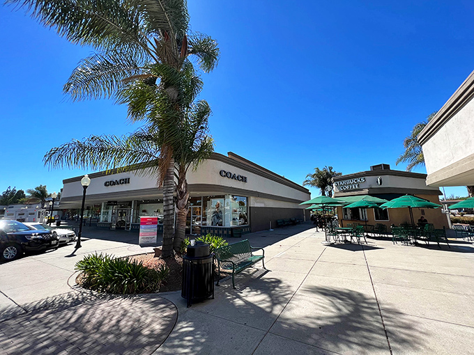 The Coach store beckons like a leather-scented siren song, promising luxury handbags at prices that won't require a second mortgage.