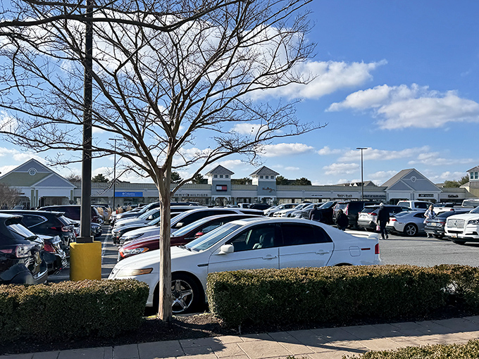 The retail promised land awaits! Tanger Outlets' sprawling parking lot fills with bargain hunters from across the Mid-Atlantic, all drawn by tax-free shopping magic.