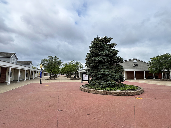 A peaceful courtyard moment between shopping frenzies. That majestic evergreen has witnessed countless "I'm just looking" promises turn into "I need another shopping bag."