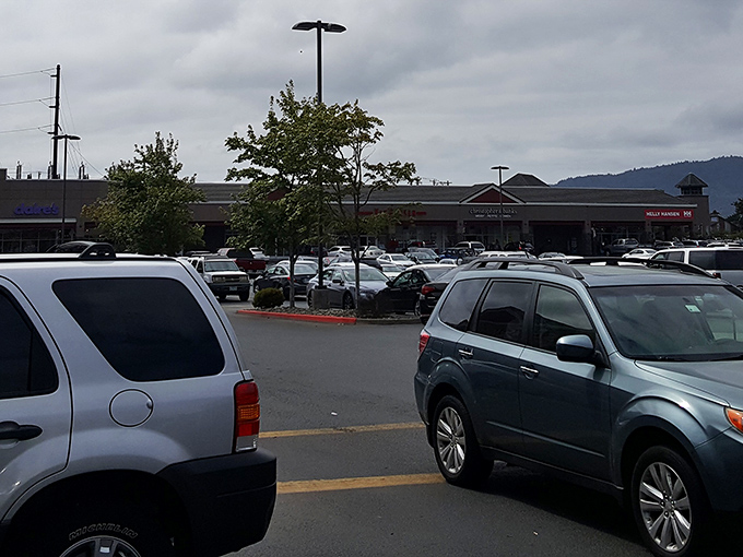 Tesla charging stations and modern storefronts prove this isn't your grandmother's outlet mall. Shopping with environmental consciousness is the new retail therapy.