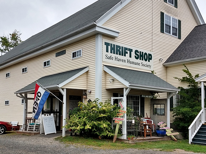 The unassuming exterior of Safe Haven's thrift shop proves that the best treasures often hide in plain sight. Maine magic awaits inside!