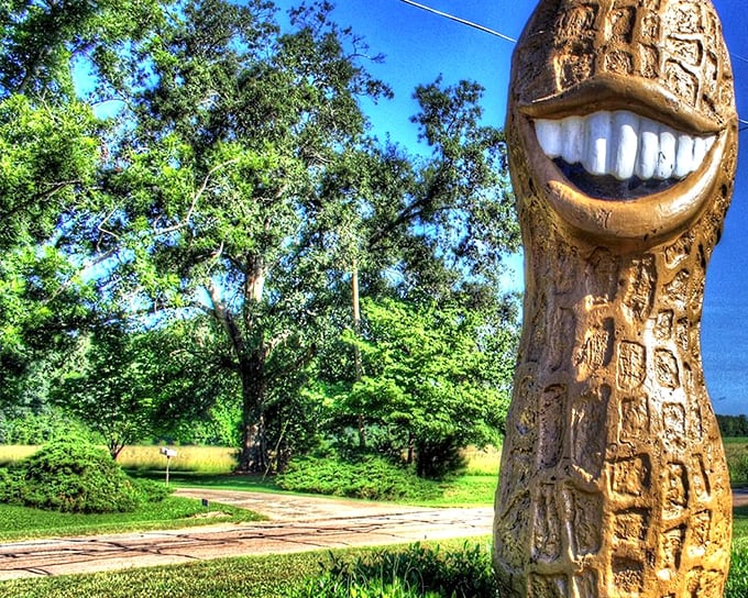 That toothy grin has been charming visitors since 1976, making dental work look surprisingly good on a peanut.