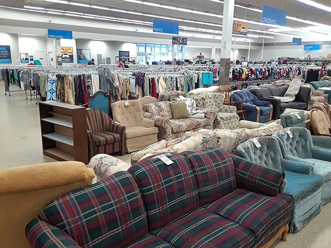 The Longmont Goodwill's fa&ccedil;ade might be modest, but behind those doors lies a treasure hunter's paradise where bargains await the brave.