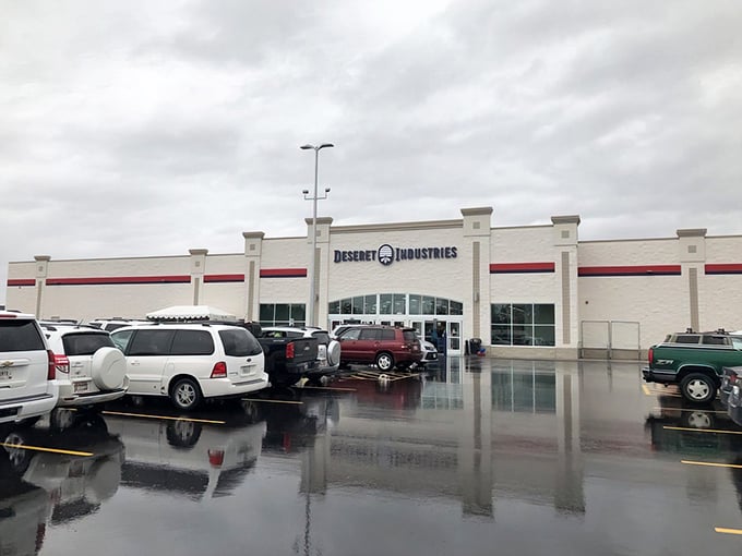 After a rainstorm, the Ammon DI parking lot reflects both clouds and possibilities. Every puddle mirrors a potential bargain waiting to be discovered.