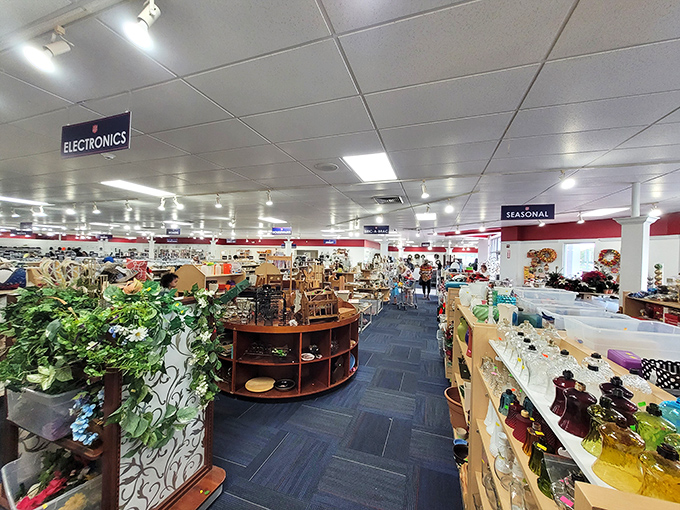 Glassware catches the light along shelves filled with curiosities from decades past. That quirky little find on the corner shelf might be the piece your kitchen has been waiting for.