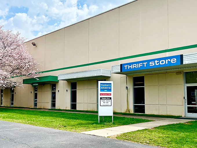 Spring blooms frame this thrift store paradise, where bargain hunting becomes an art form worth mastering.