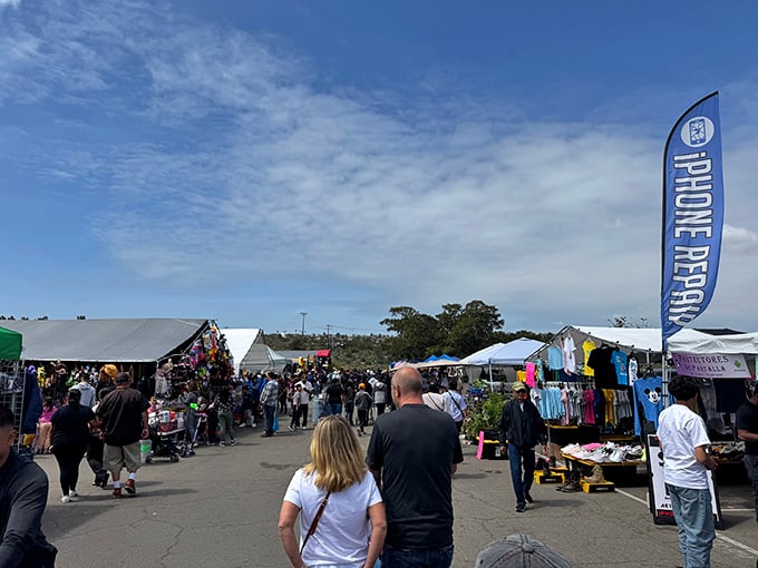The sprawling maze of canopies and crowds at Spring Valley Swap Meet &ndash; where treasure hunting becomes an Olympic sport under the California sun.