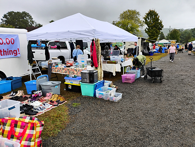 Treasure hunting begins at dawn, where white tents stretch across the gravel like sails on an ocean of possibilities. Every table holds someone's past waiting to become your future.