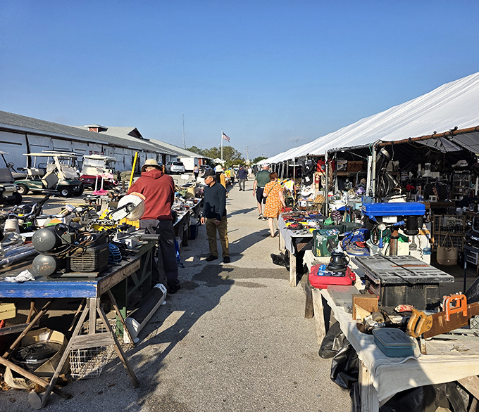 Treasure hunting at its finest! The outdoor section of Red Barn Flea Market offers everything from vintage tools to quirky collectibles under the bright Florida sky.