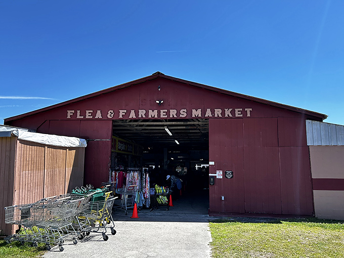 The unassuming red barn entrance to Pecan Park Flea & Farmers' Market&mdash;where abandoned shopping carts gather like hopeful puppies waiting for treasure hunters to adopt them.