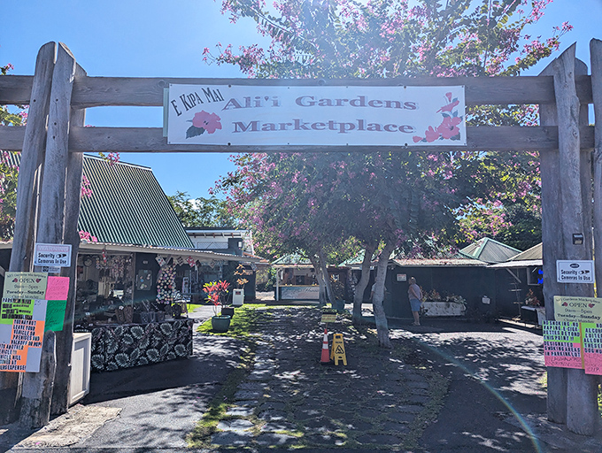 The entrance to Ali'i Gardens beckons with its rustic wooden arch and vibrant bougainvillea, promising treasures beyond the ordinary tourist experience.