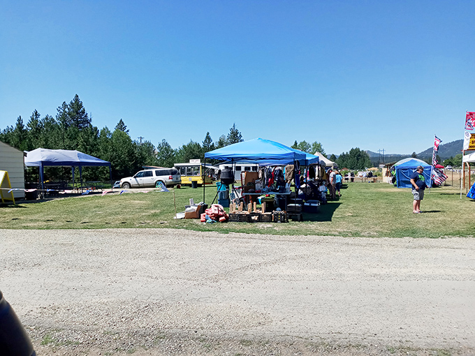 Blue skies and treasure hunting go hand in hand at the Oldtown Flea Market, where canopies create an oasis of possibility in the Idaho sunshine.