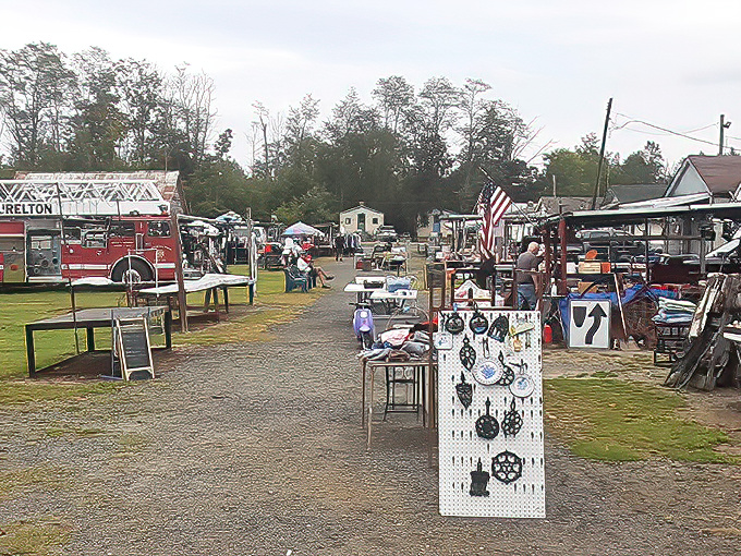Treasure hunters navigate the gravel pathways between vendor stalls, where one person's castoffs become another's prized possessions. The thrill of the hunt is palpable.