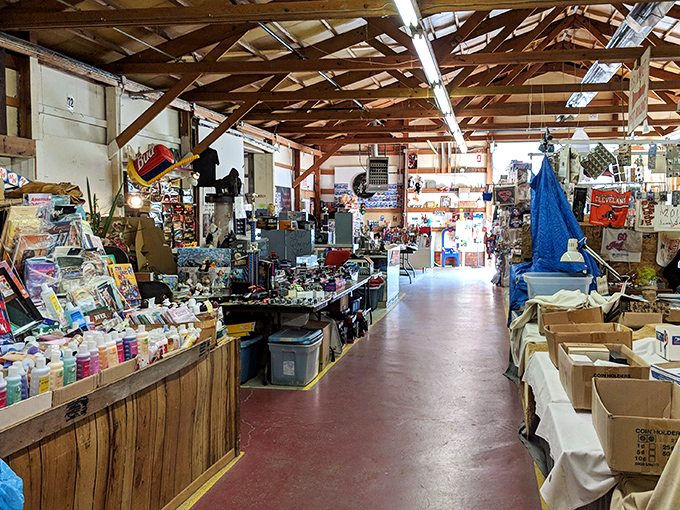 The indoor section of Jamie's feels like a treasure hunter's cathedral, with wooden beams overhead and endless possibilities stretching before you. Every aisle promises discovery.
