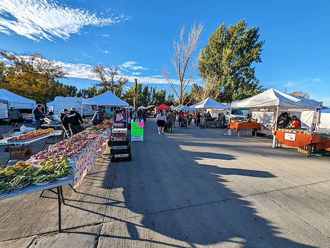 White tents line Wheeler Farm's market path, where tables overflow with colorful produce under Utah's brilliant blue sky.