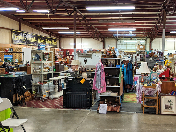 Vendor booths create miniature kingdoms of possibility, where yesterday's treasures await tomorrow's stories in this bargain hunter's paradise.