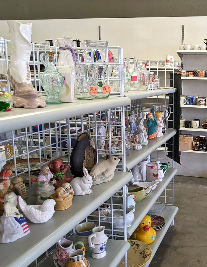 Treasure hunters rejoice! Angel View's housewares section is where vintage glassware and ceramic critters wait patiently for their second chance at decorative glory.