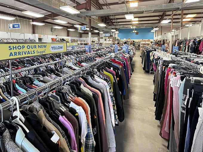 Inside Kailua-Kona&rsquo;s Goodwill, rows of racks hide a treasure trove&mdash;like discovering a secret beach that locals have kept quiet about for generations.