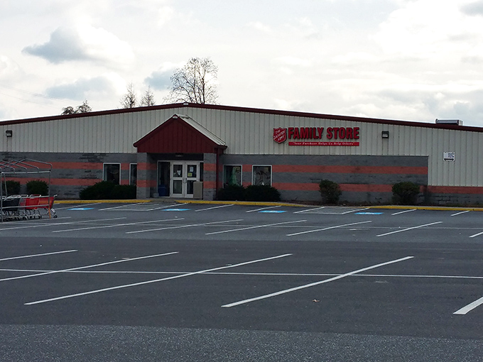 Another day, another chance to discover that perfect piece hiding among the endless possibilities.